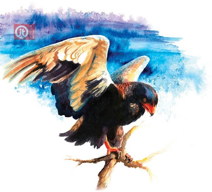 44 động vật trong Kinh Thánh (44 Animals of the Bible) | Joseph Tuan