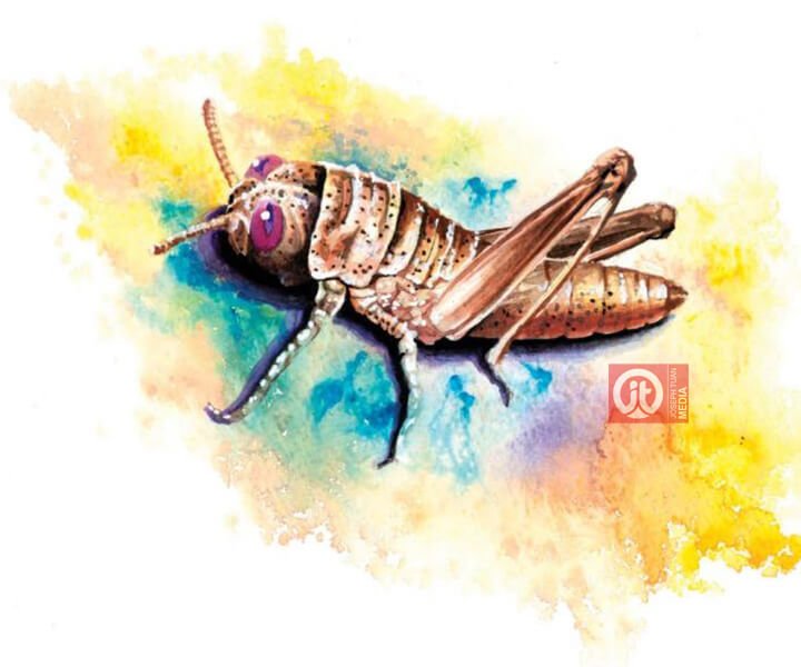 44 động vật trong Kinh Thánh (44 Animals of the Bible) | Joseph Tuan