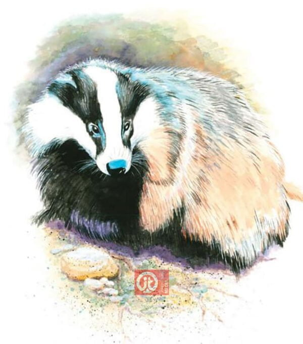 44 động vật trong Kinh Thánh (44 Animals of the Bible) | Joseph Tuan