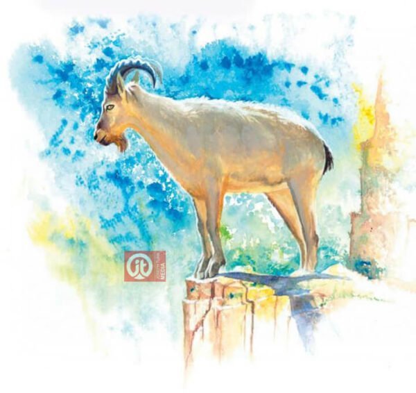 44 động vật trong Kinh Thánh (44 Animals of the Bible) | Joseph Tuan