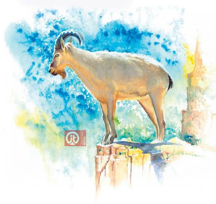 44 động vật trong Kinh Thánh (44 Animals of the Bible) | Joseph Tuan