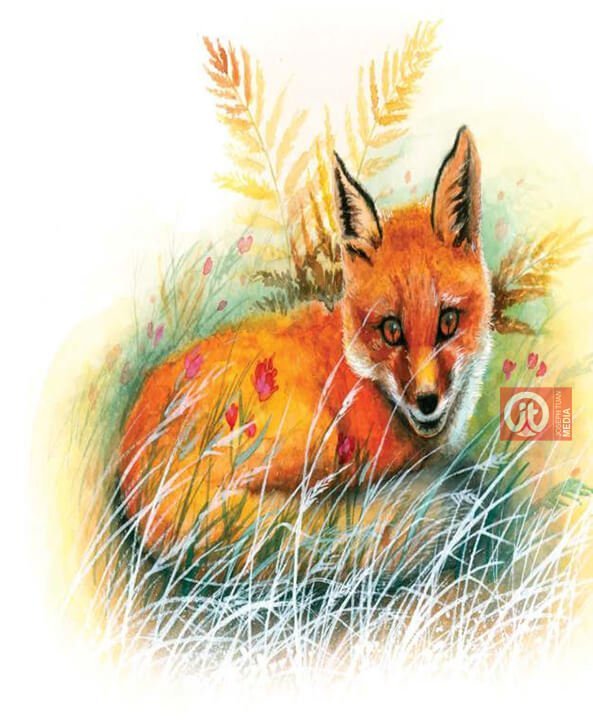 44 động vật trong Kinh Thánh (44 Animals of the Bible) | Joseph Tuan